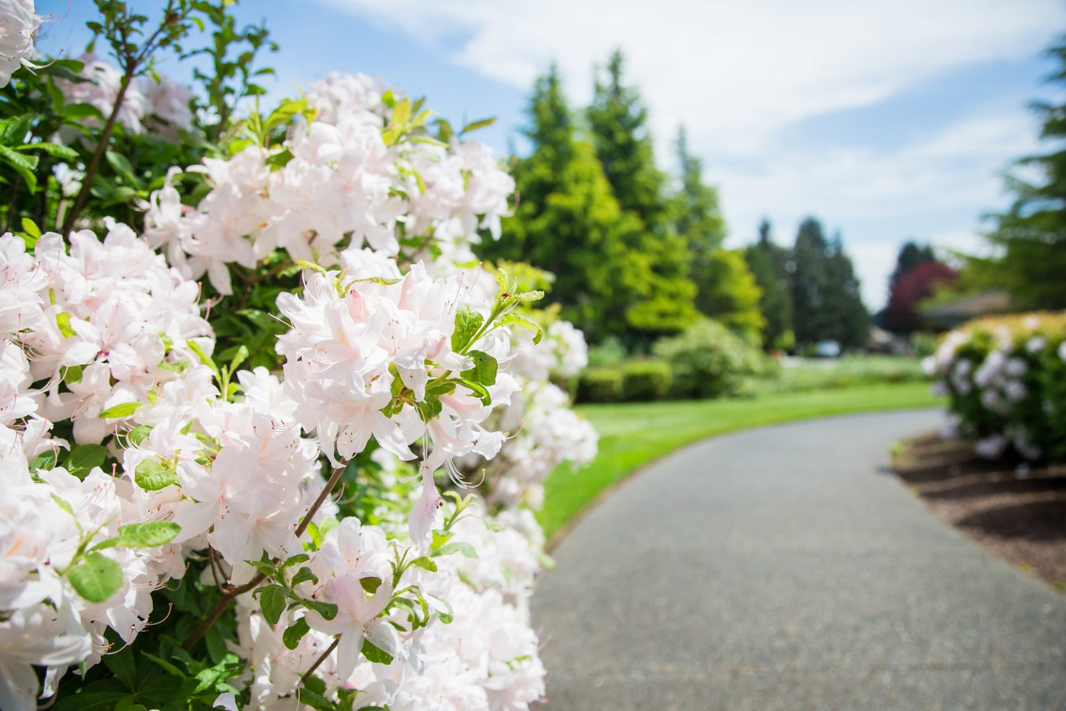 Indian Summer Golf & Country Club | Seattle Golf Courses